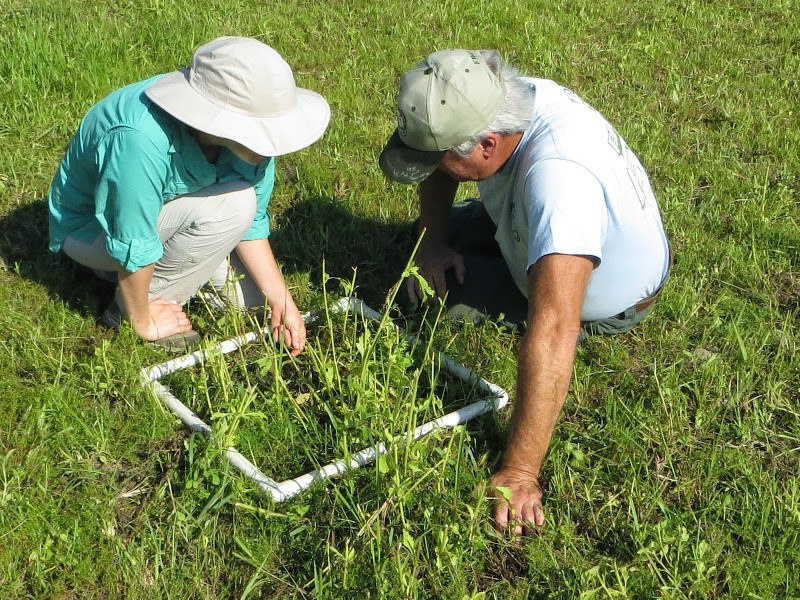 Masterful method to avoid strife when studying wildlife - The Irish ...