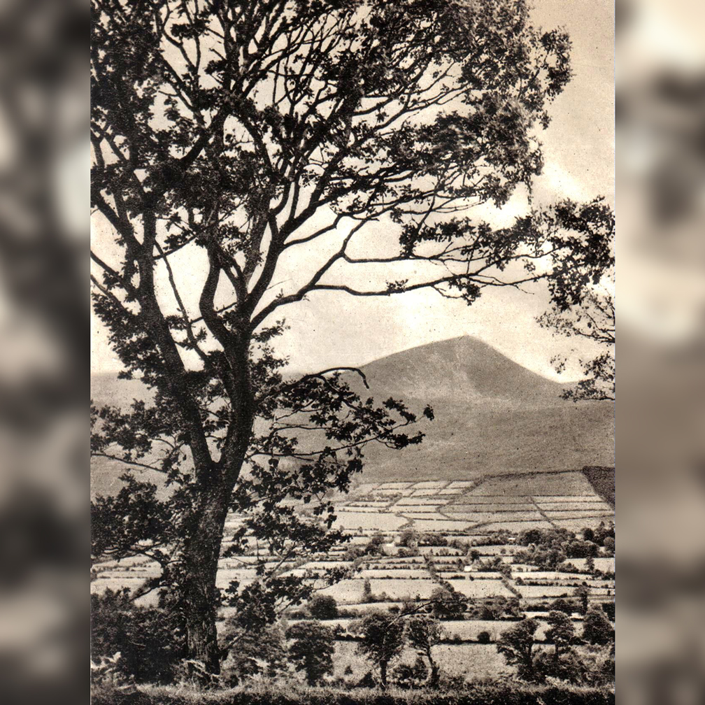The dark days of 1877 in the Golden Vale - The Irish Catholic
