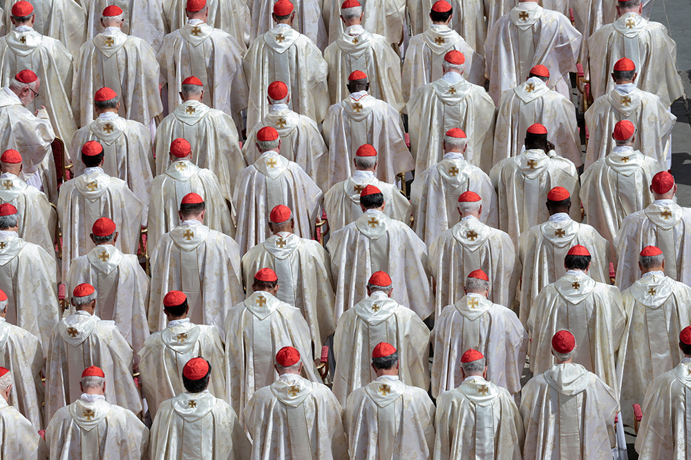 Following the inauguration of Pope Leo, cardinals reflect on the ...